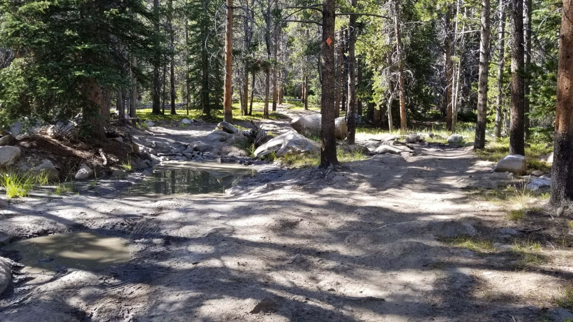 Review: East Tensleep Lake, Unnamed Lakes, Lake 10,577 (Off-trail)