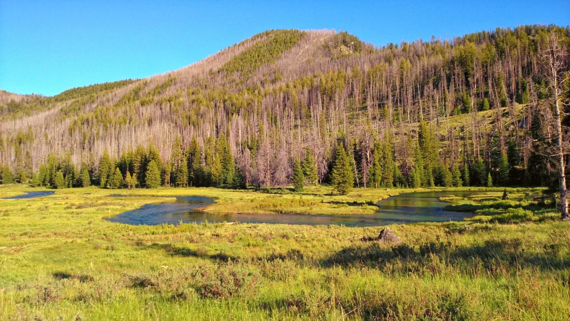 Review: 12-Mile Day Hike to Slide Lake, Wind River Range