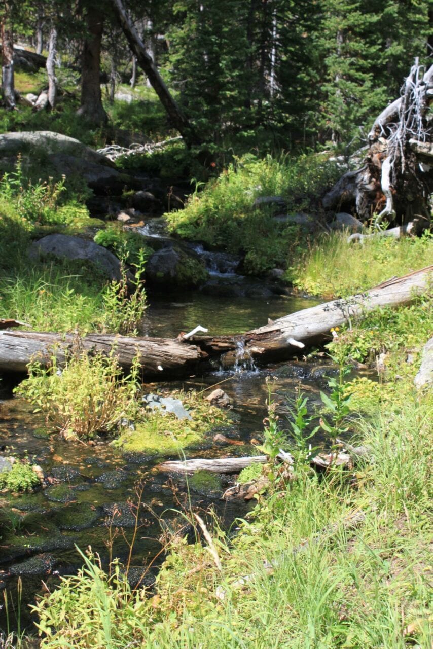 Review: Little Sandy Lake Day Hike