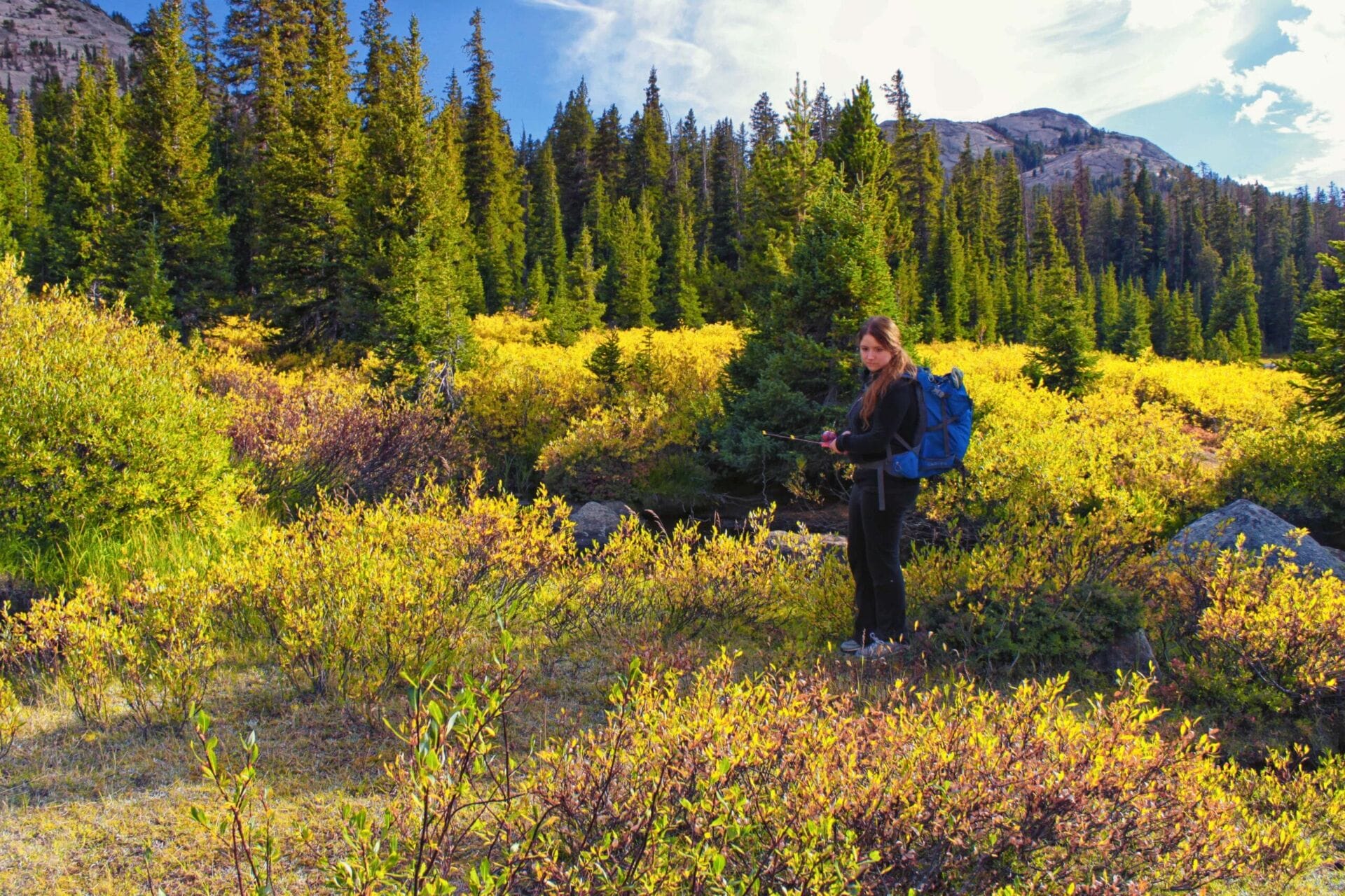 Review: Fall Day Hike to Donald Lake, Wind River Range