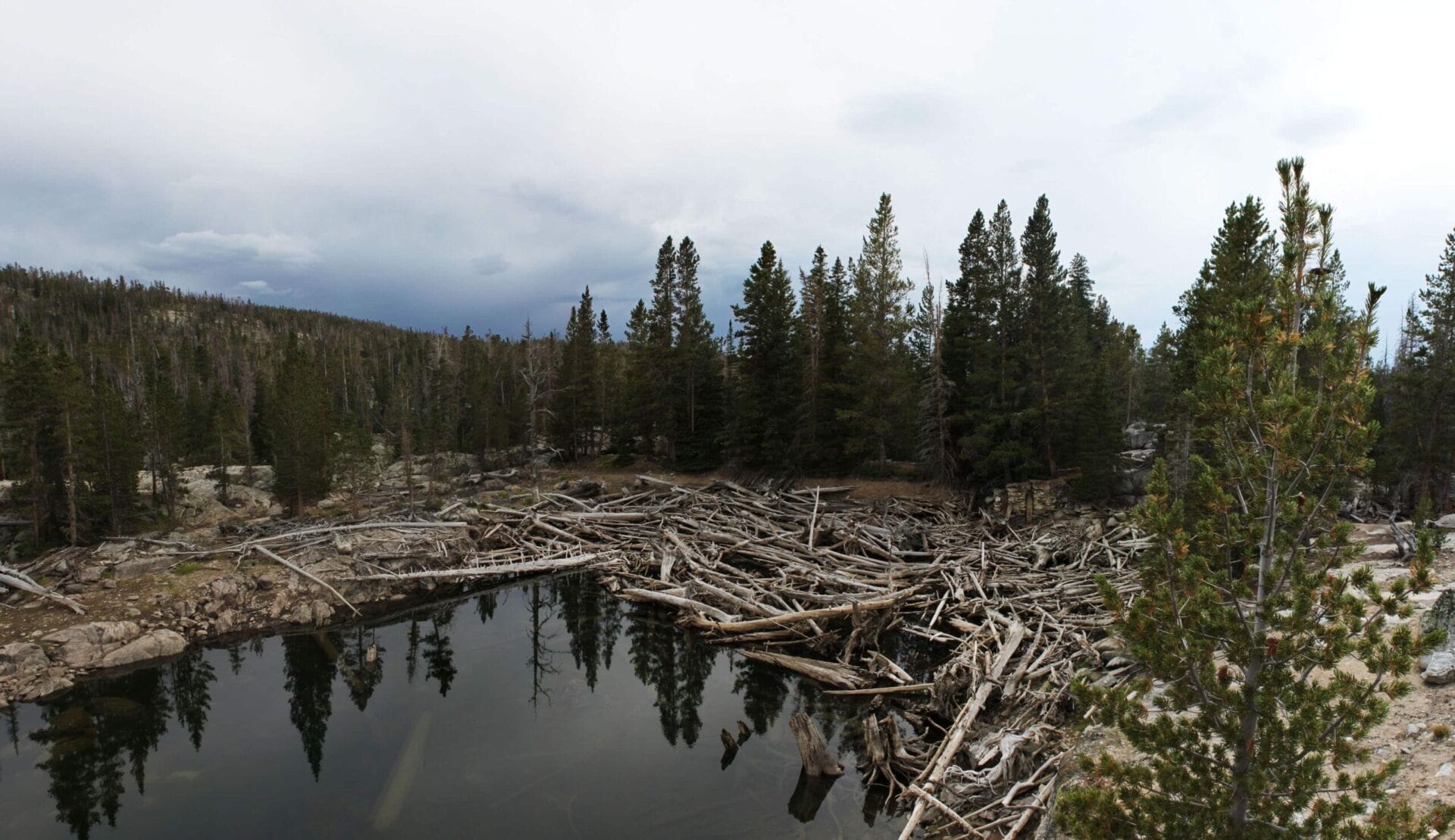 Review: Little Sandy Lake Day Hike