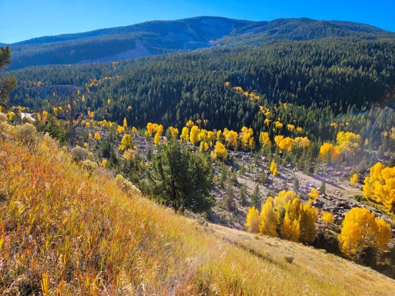 Review: Up, Up, and a Day Hike to Blue Miner Lake & Sheep Mountain