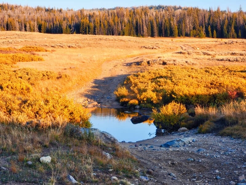 Review: 19 Miles Hiking Simpson Lake, Plus Dead Horse, Long, and Union